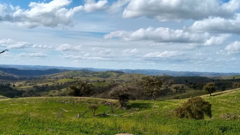 Akubra launches its first branded store in Brisbane alongside country ...